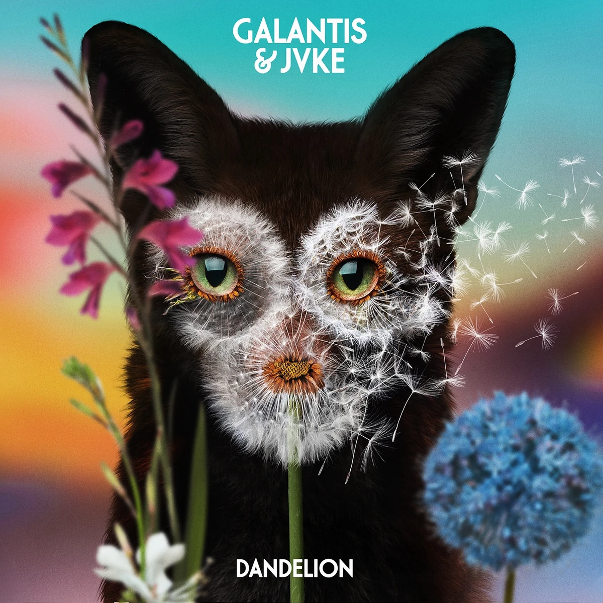 Dandelion | JVKE Wiki | Fandom