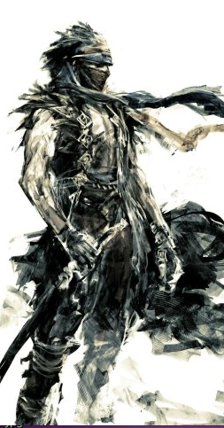 The Gaijin Holy Order | Jedi vs Sith Wiki | Fandom