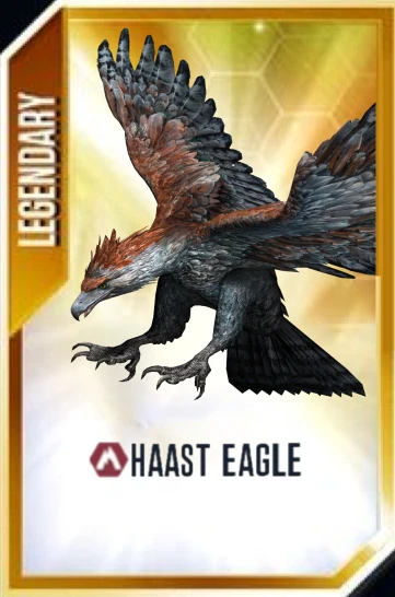 Haast eagle | Jw tg fanon Wiki | Fandom