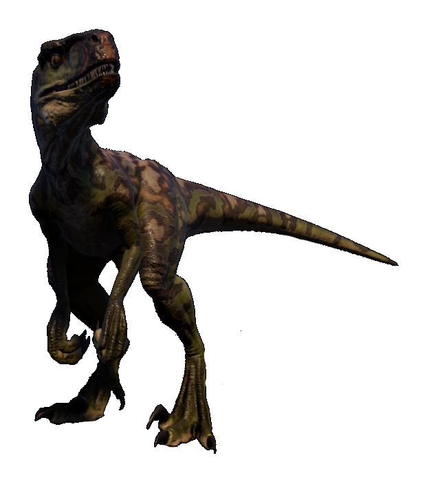 Atrociraptor Jurassic World Speculative Evolution Wiki Fandom