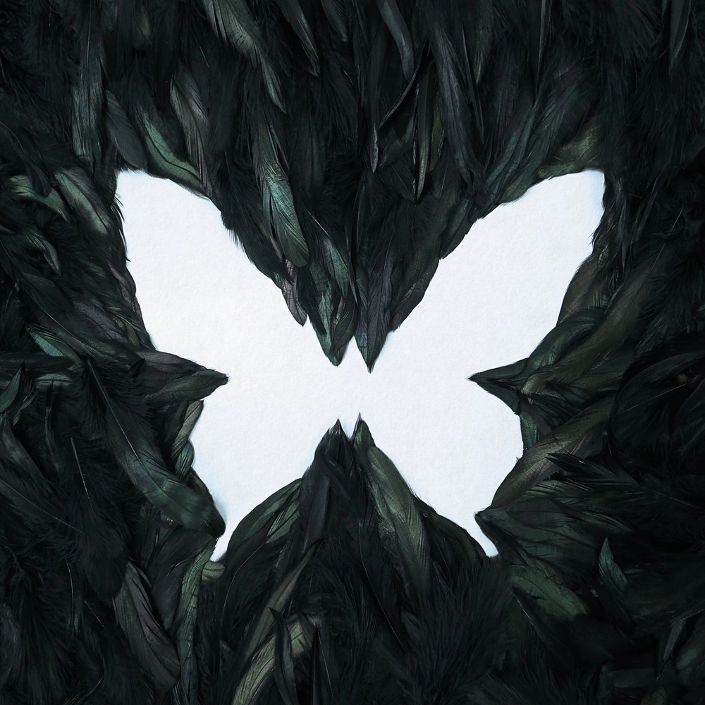 Soar | K Hip Hop Wiki | Fandom