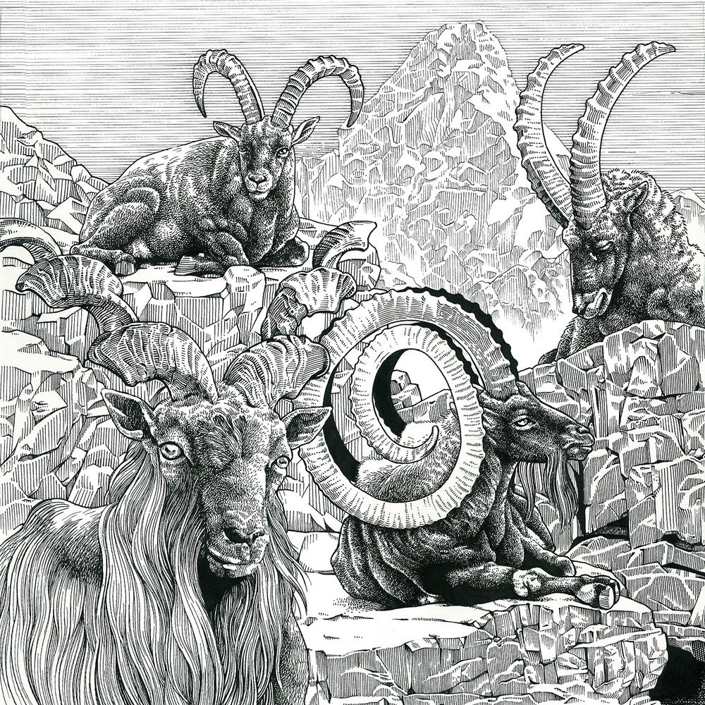 GOAT | K Hip Hop Wiki | Fandom