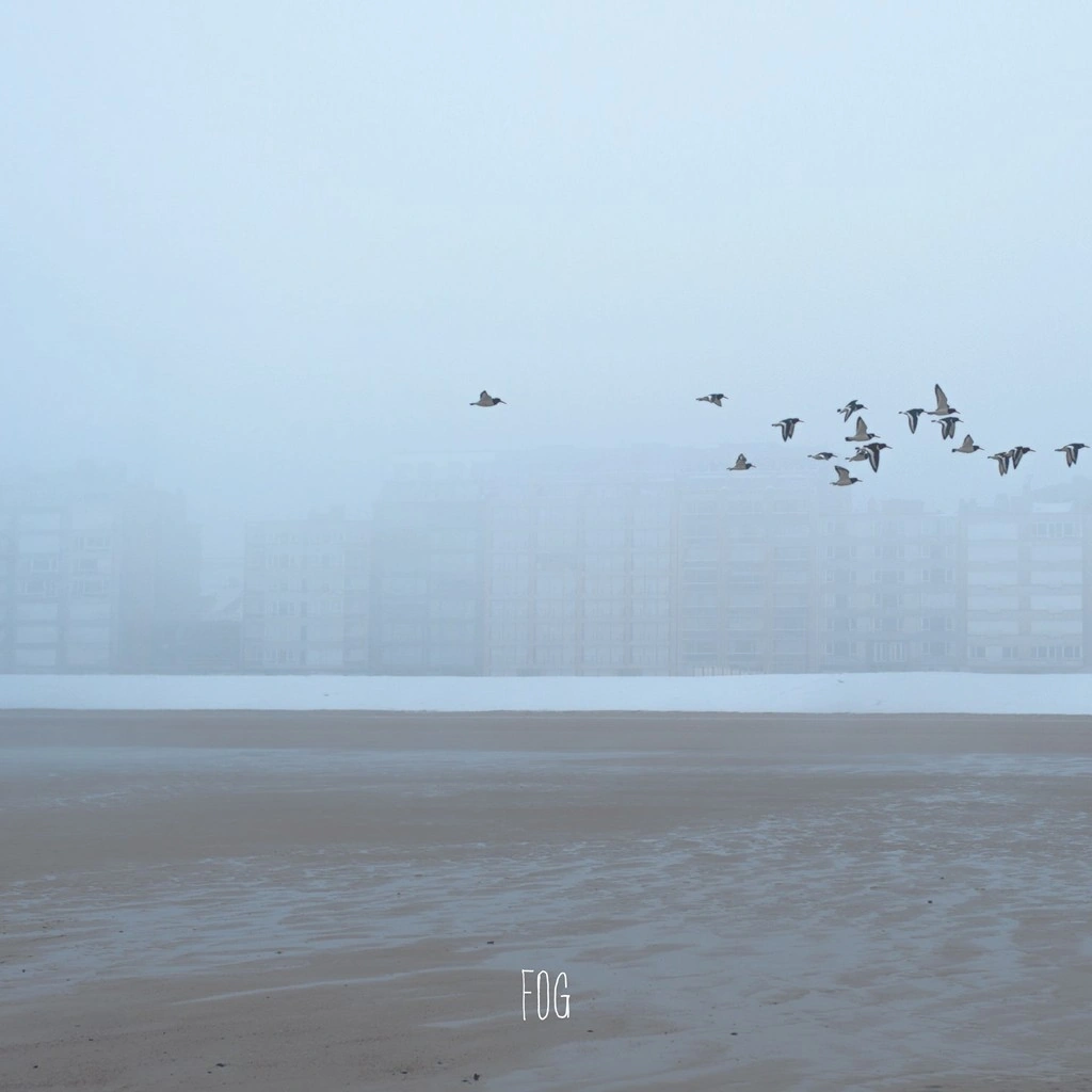 Fog | K Hip Hop Wiki | Fandom