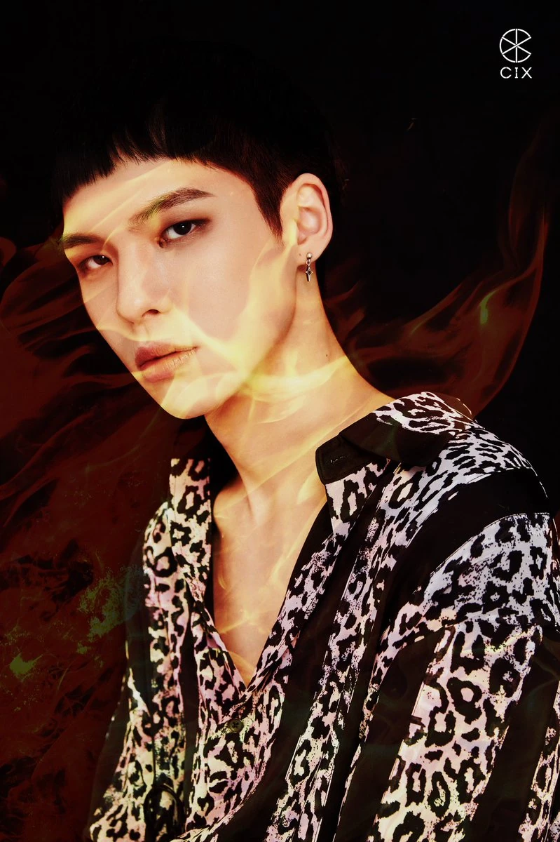 BX | Wiki K-pop | Fandom