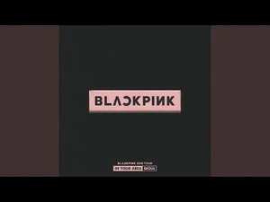 Really - BLACKPINK | Wiki Lyrics | Fandom