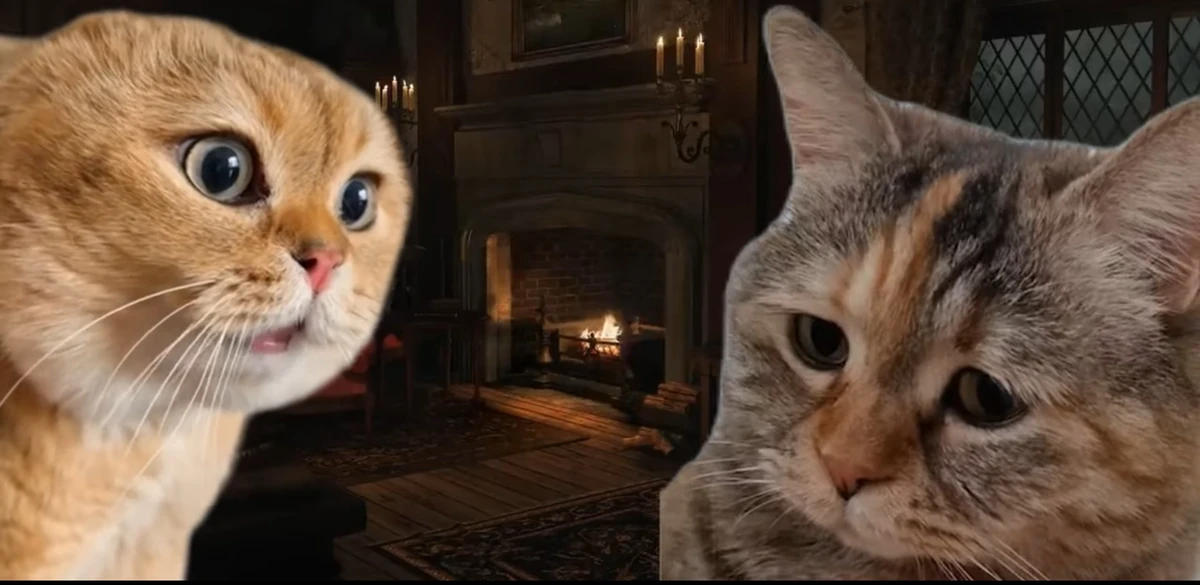 Two cat speaking | K10CE Wiki | Fandom