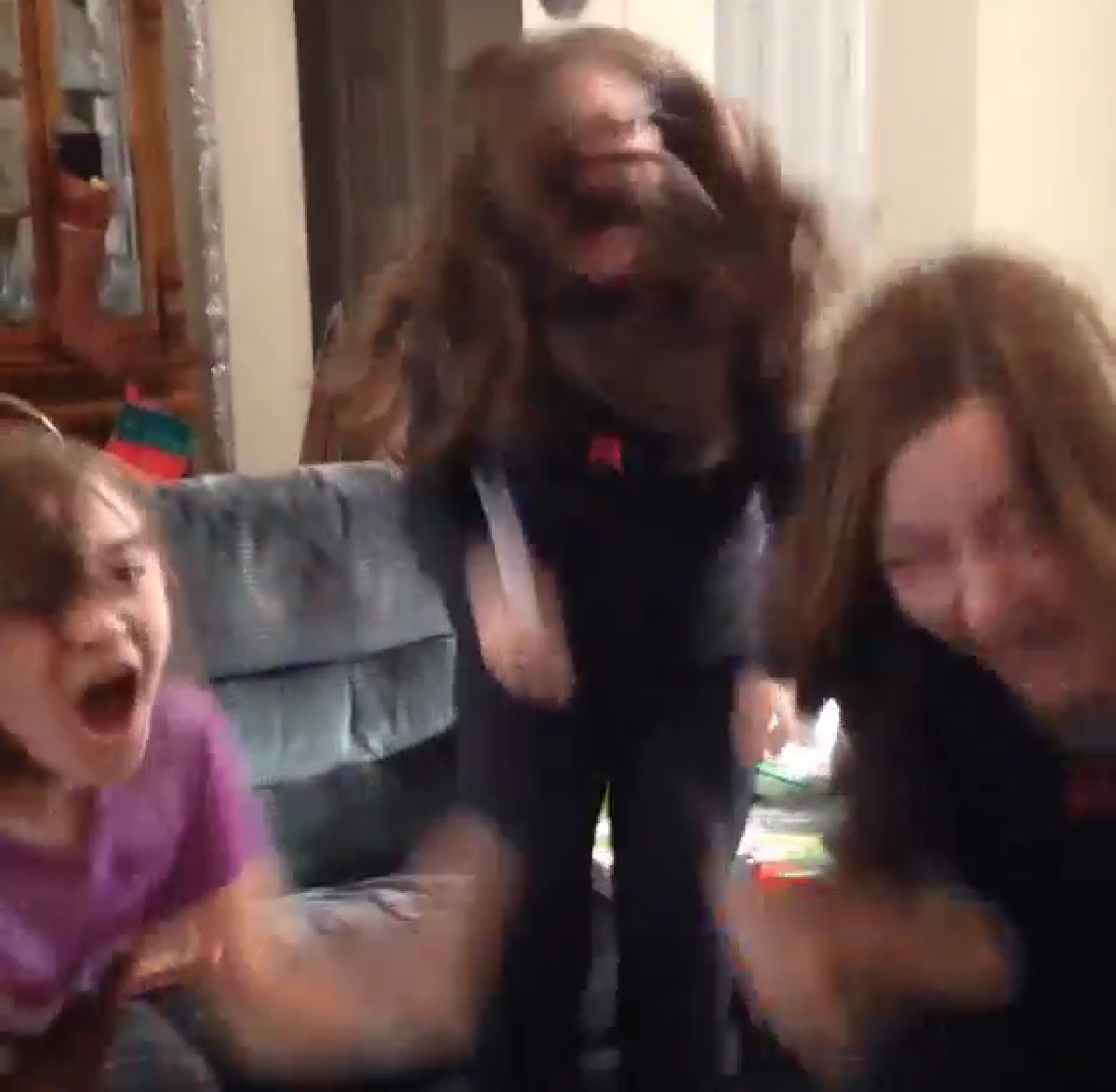 December 25 2013 Instagram Video | K3 Sisters Band Wiki | Fandom