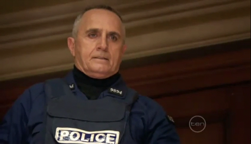 The Last Precinct | K9tv Wiki | Fandom