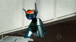 Fallen Angel | K9tv Wiki | Fandom