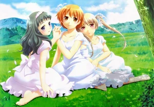 Hazumu Osaragi | Kashimashi Wiki | Fandom
