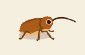 Weevil | Kabuto Park Wiki | Fandom