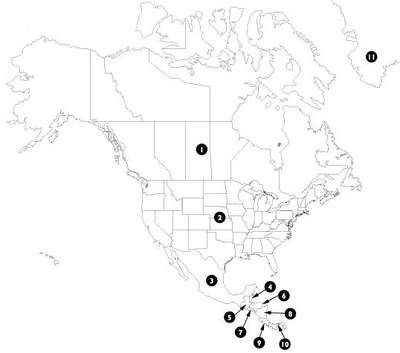 Joman | Kah Mukwa Yula Wiki | Fandom