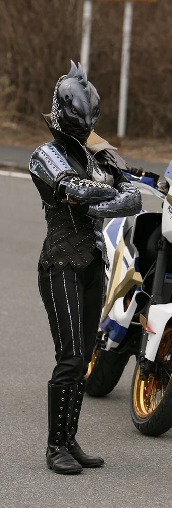 Kamen Rider: The Next Kaijin | Kaijin Wikia | Fandom