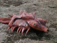 Hikari Sentai Maskman Kaijin | Kaijin Wikia | Fandom