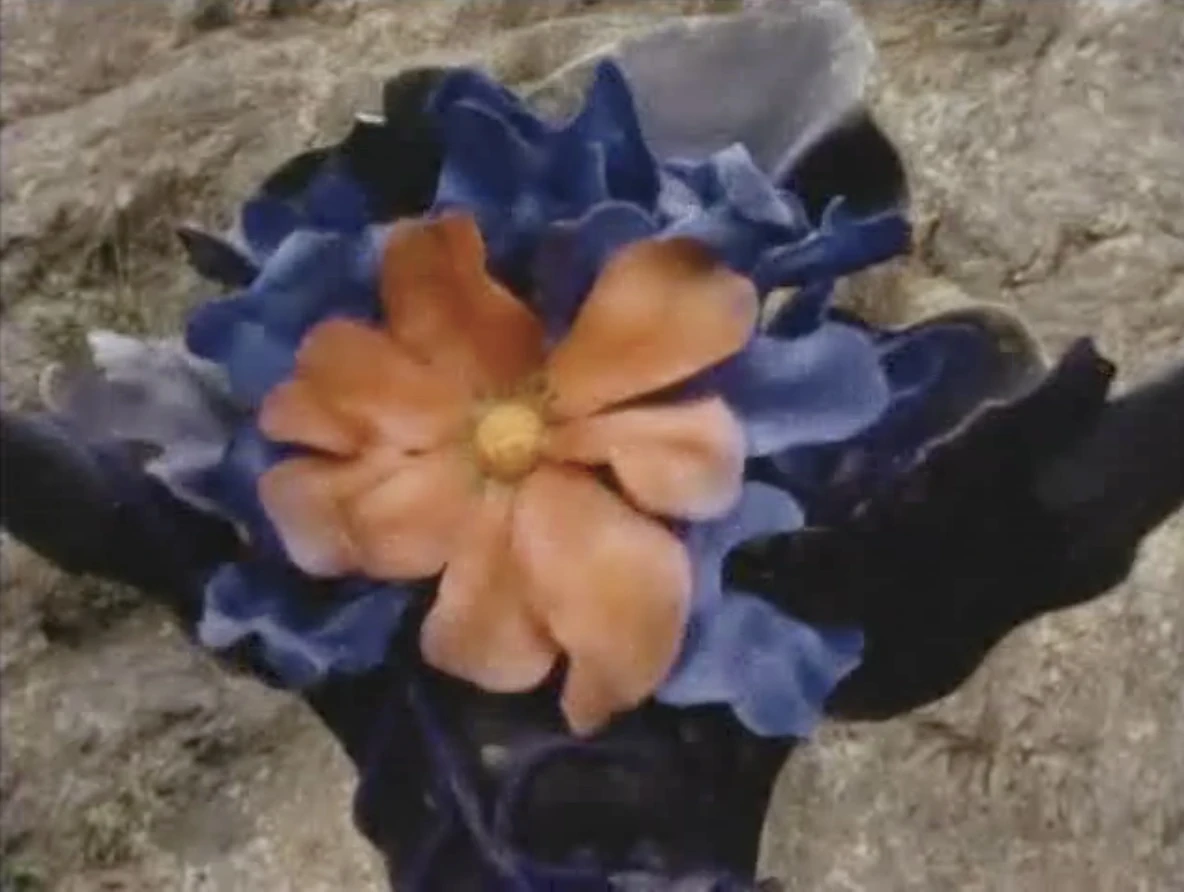 Devil Flower | Kaijin Wikia | Fandom