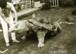 Eagle Turtle | Kaiju Ouji Wikia | Fandom