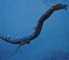 Manda | Kaiju Wiki | Fandom