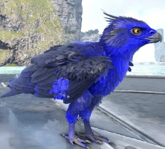Falcon Monster | Kaijuverse Wiki | Fandom