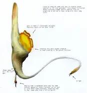 Alien Fauna | Kaijuverse Wiki | Fandom
