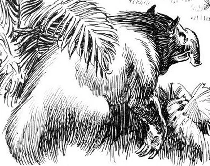 Antbear | Kaijuverse Wiki | Fandom