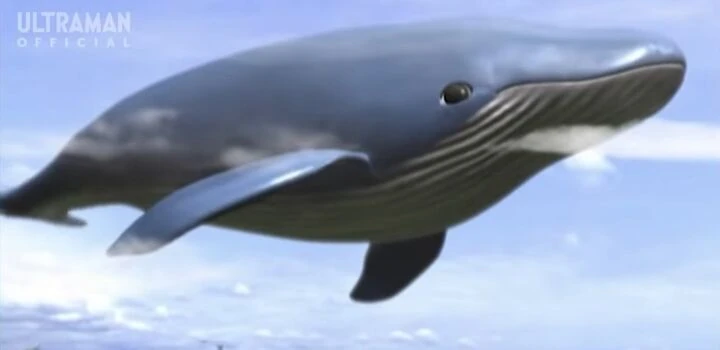 Jirak | Kaijuverse Wiki | Fandom