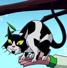 Cat | Kaijuverse Wiki | Fandom