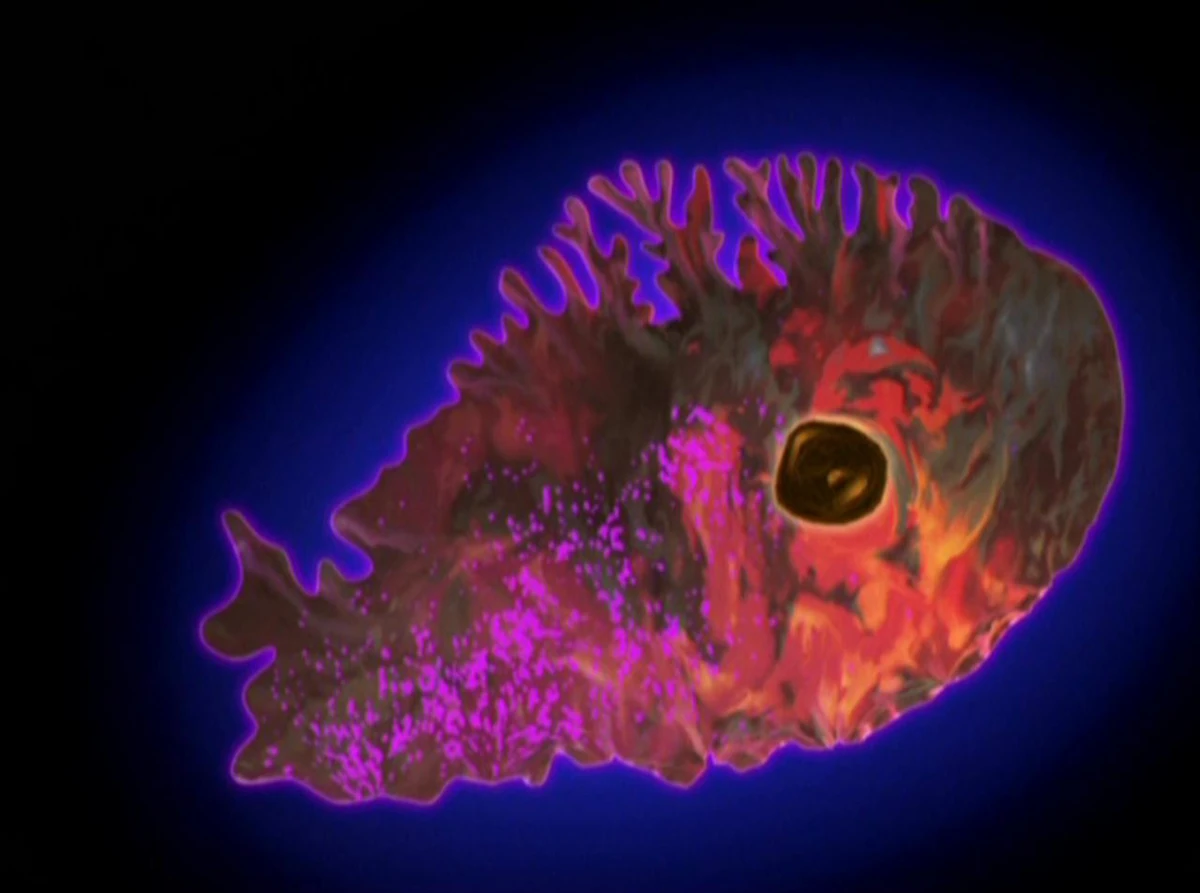 Space Amoeba | Kaijuverse Wiki | Fandom