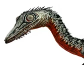 Bauri | Kaijuverse Wiki | Fandom