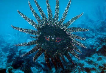 Hitodah | Kaijuverse Wiki | Fandom