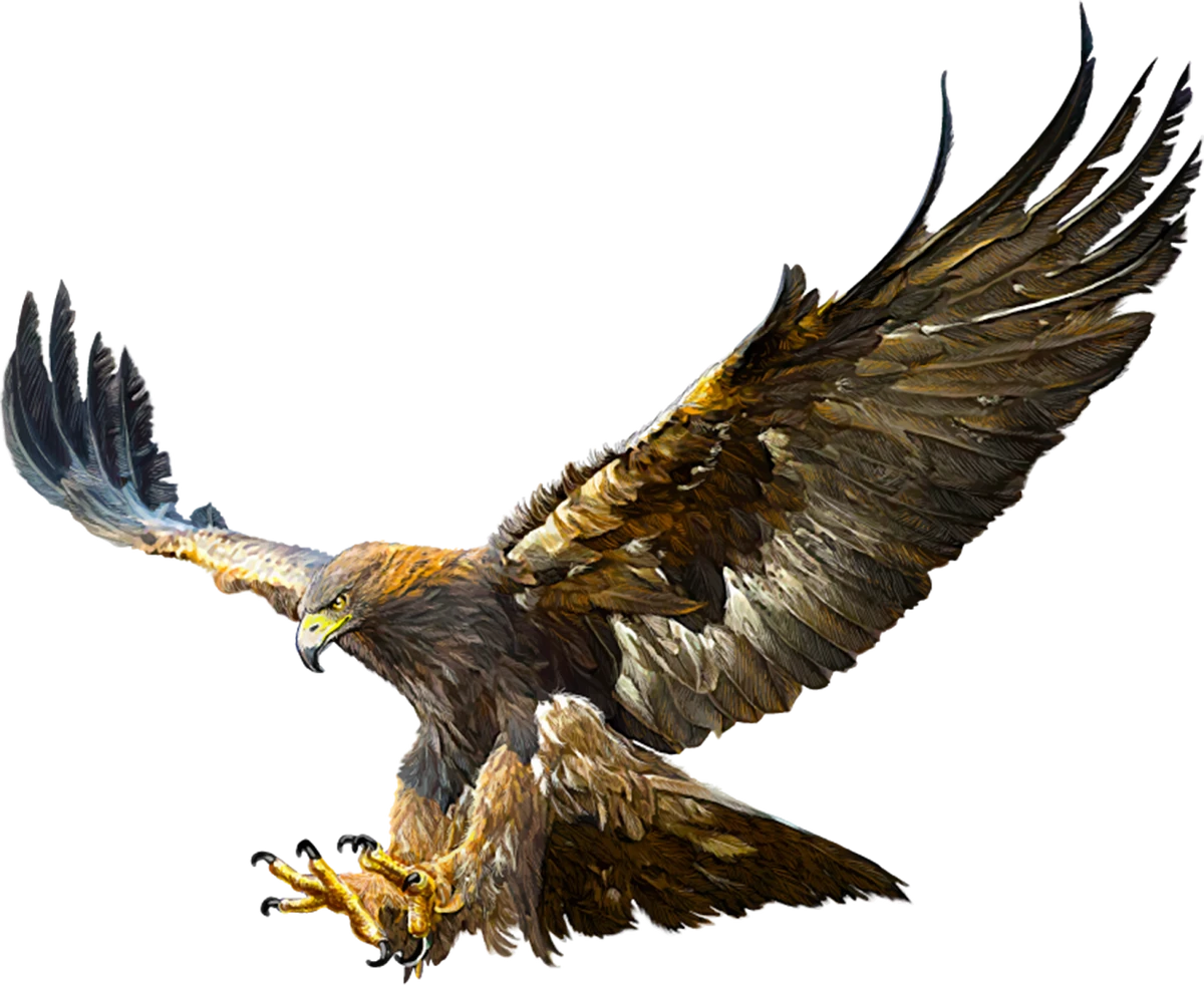 Gwaihir | Kaijuwikia Wiki | Fandom