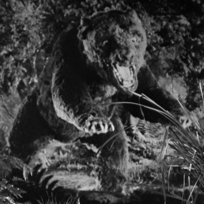Cave Bear (King Kong) | Kaijuwikia Wiki | Fandom