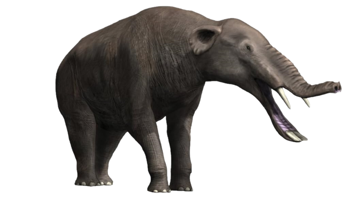 Platybelodon Kaijuwikia Wiki Fandom