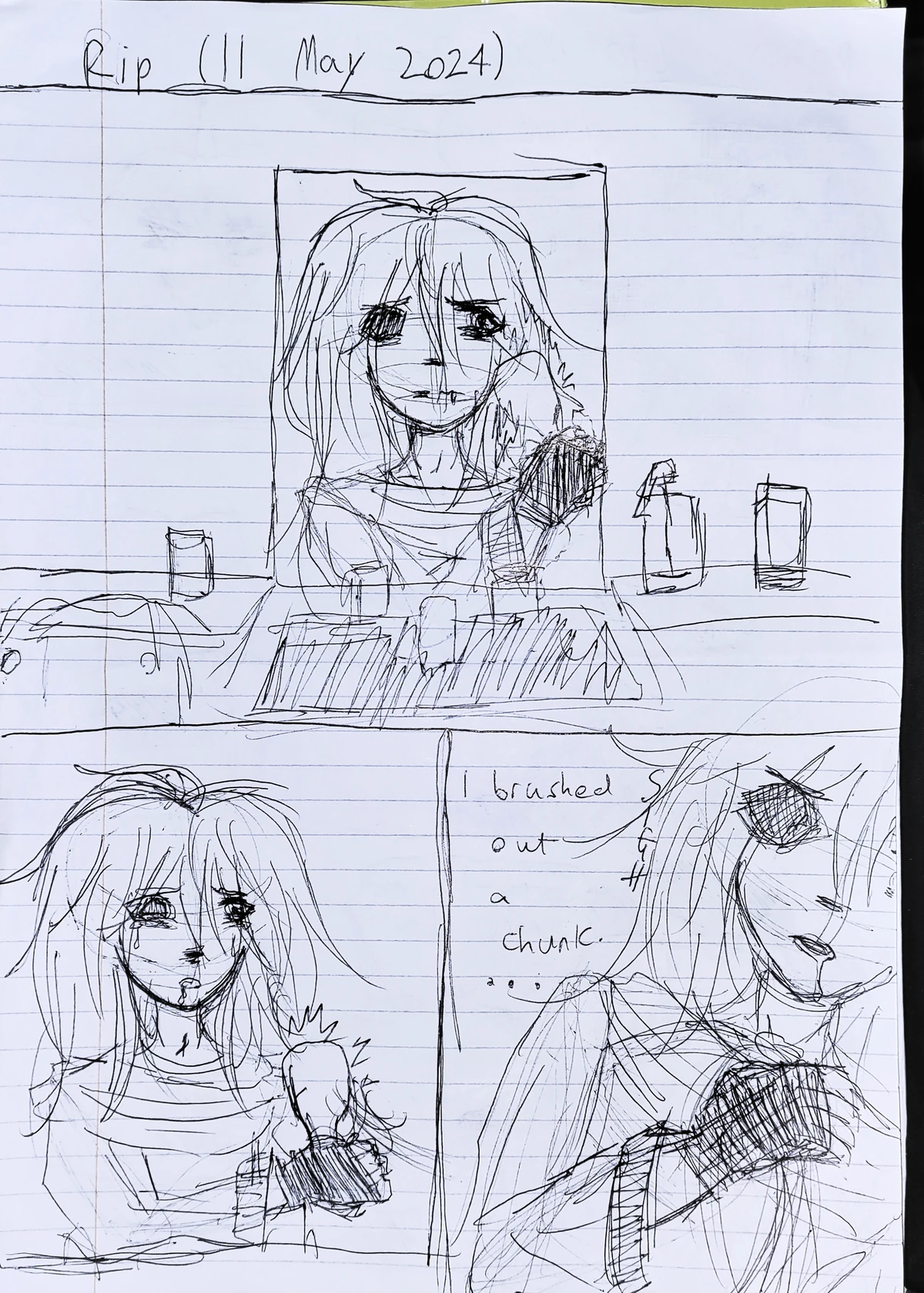 Rip (11 May 2024) | KAITO DIMENSION Wiki | Fandom