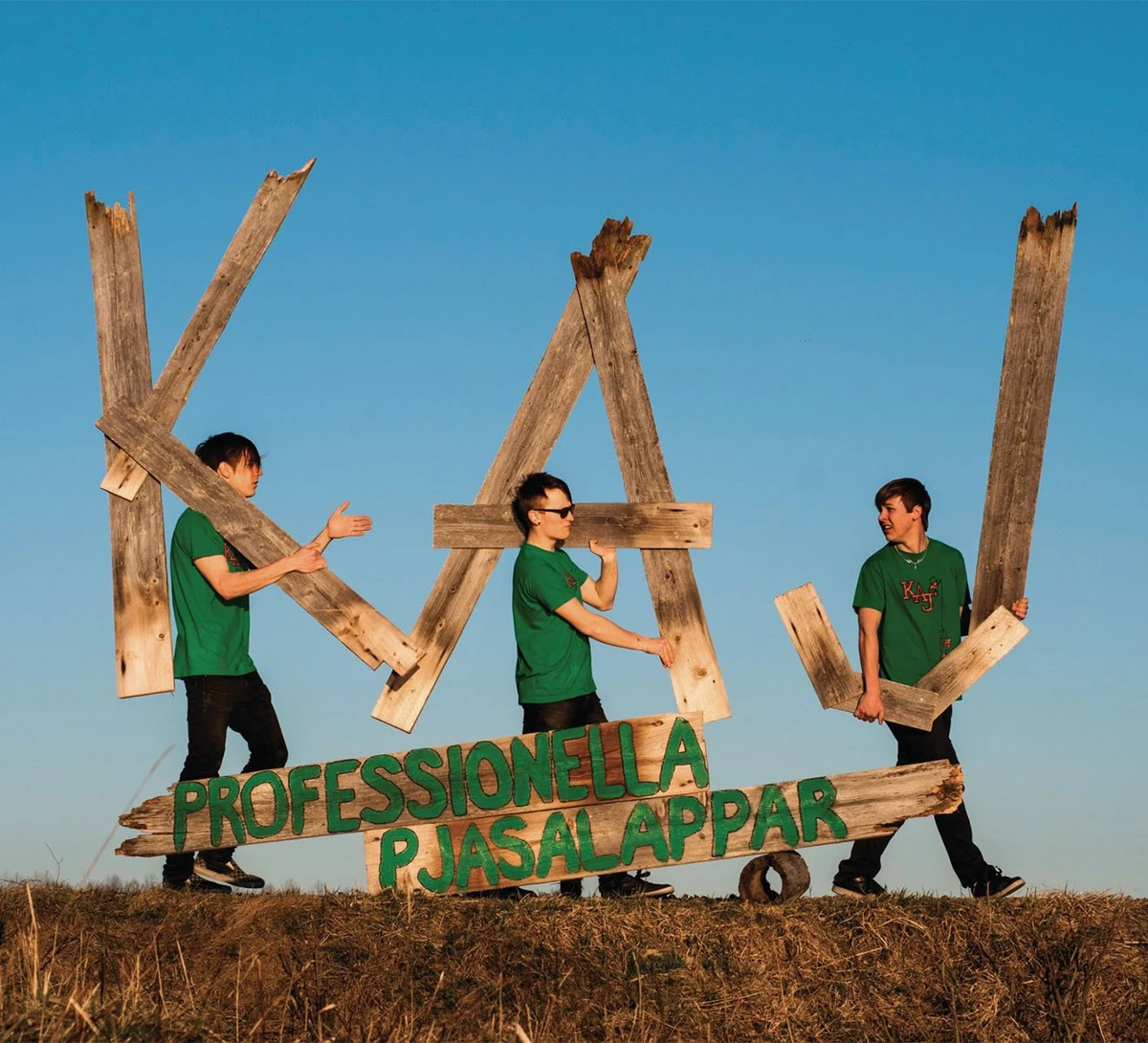 Professionella Pjasalappar (album) | KAJ Wiki | Fandom