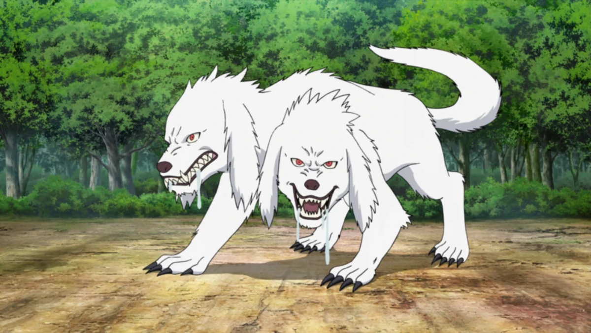 Man Beast Transformation Combo | Kakashiforum Wikia | Fandom