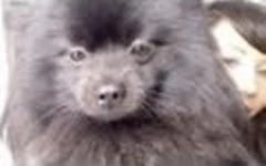 My New Room | Kalel Wiki | Fandom