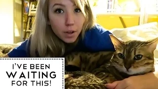 I've Been Waiting For This! | Kalel Wiki | Fandom