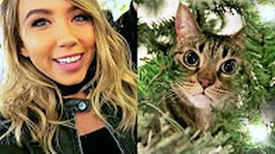 GETTING IN THE HOLIDAY SPIRIT! | Kalel Wiki | Fandom