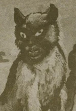 Marineros-Gatos | Kaliman, el hombre increible | Fandom