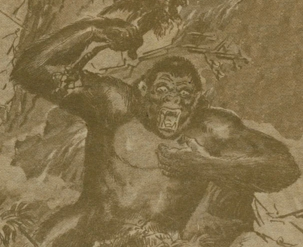 Bari Gog | Kaliman, el hombre increible | Fandom