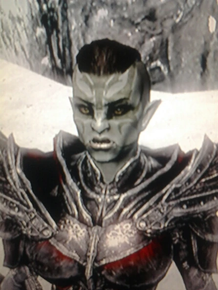 Blitzbear93 | KallenbearRp Wiki | Fandom