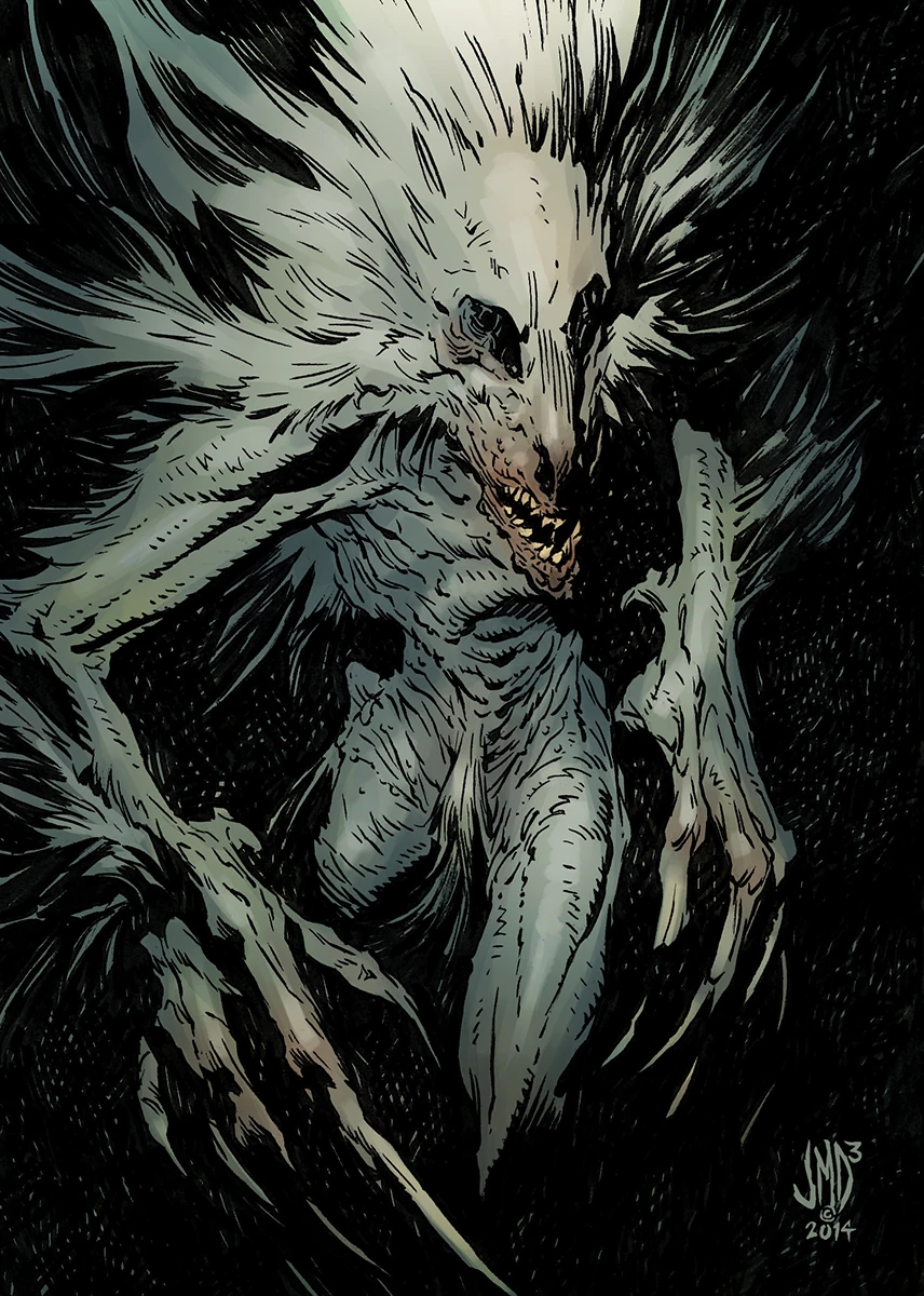 The Windwalker | Kallipolis Wiki | Fandom