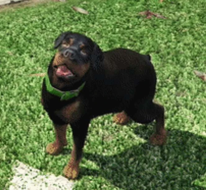 Maniek | Prawdziwe Życie | Fandom