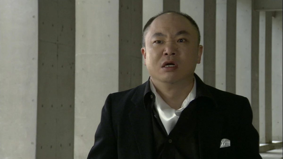 Hino | Kamen Rider Wiki | Fandom