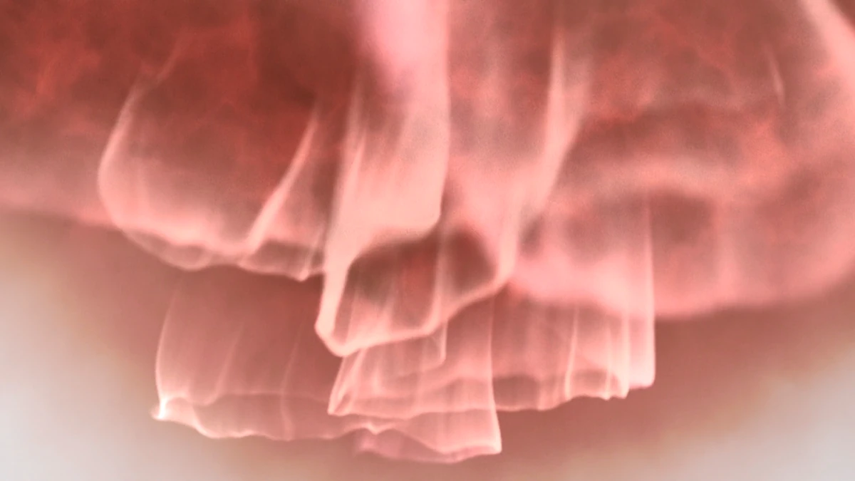 Disaster! The Red Sky! | Kamen Rider Wiki | Fandom