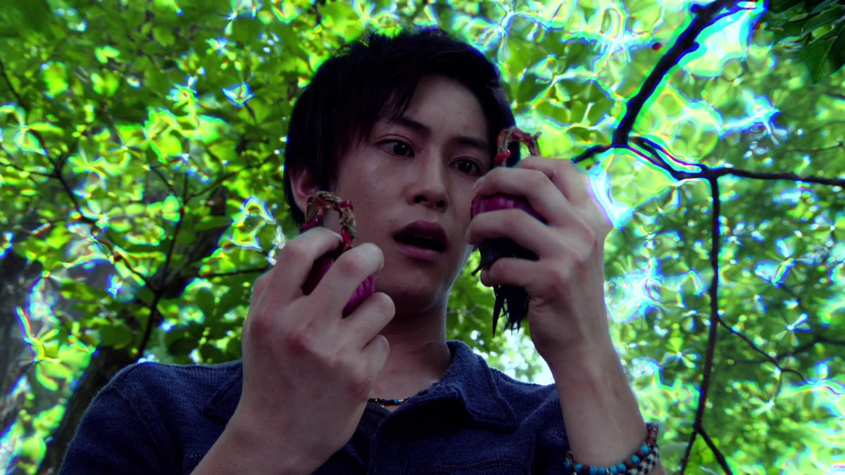 Helheim's Fruits | Kamen Rider Wiki | Fandom