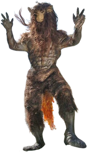 Yamabiko | Kamen Rider Wiki | Fandom