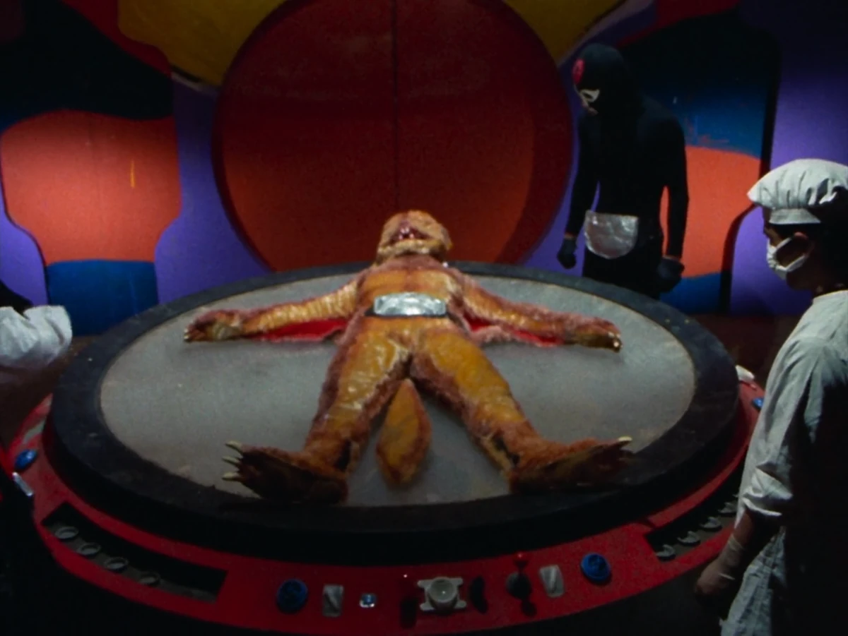 The Soaring Monster Musasabeedle | Kamen Rider Wiki | Fandom