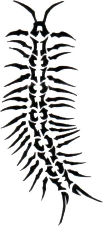 Tribal Centipede Tattoo