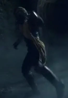 Butterfly Amazon 8 | Kamen Rider Wiki | Fandom